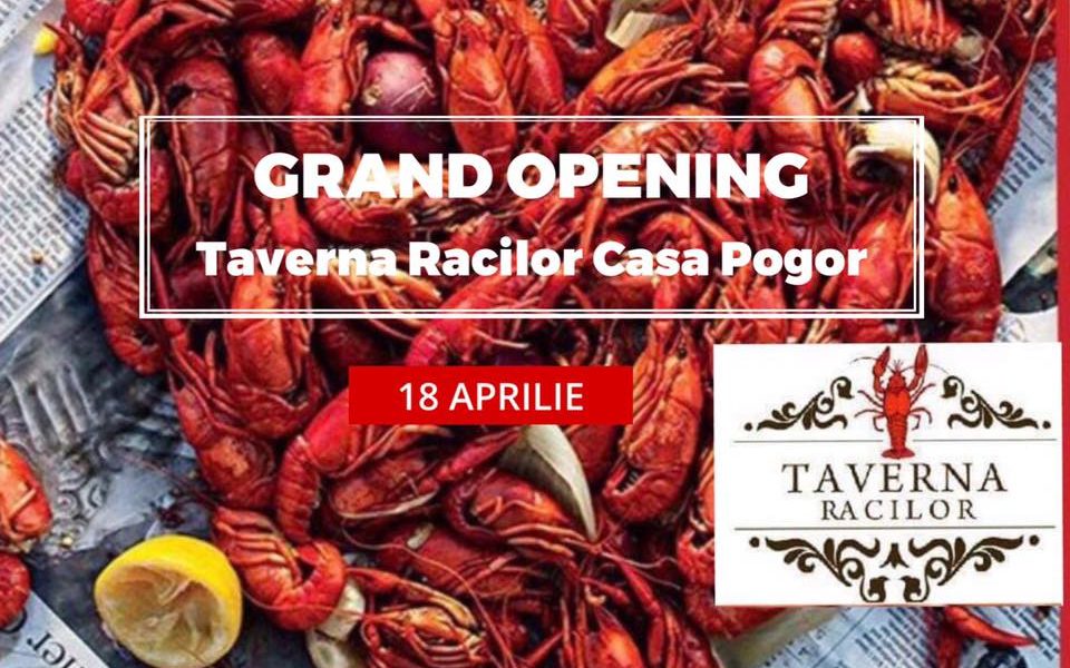 NOU in IASI: Taverna Racilor, din 18 aprilie – Iasi 4u – Portalul ...